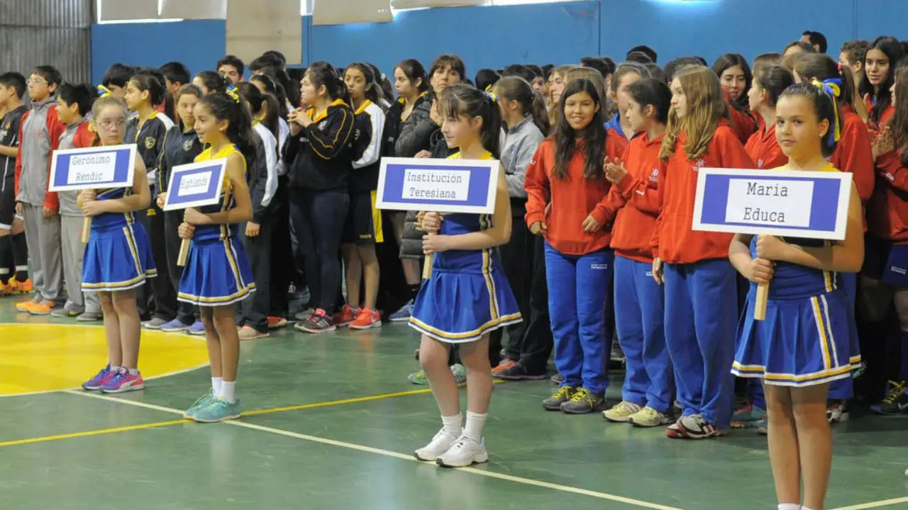 Alejandro Said Daud Cortes Comercial E Ir L - La Serena